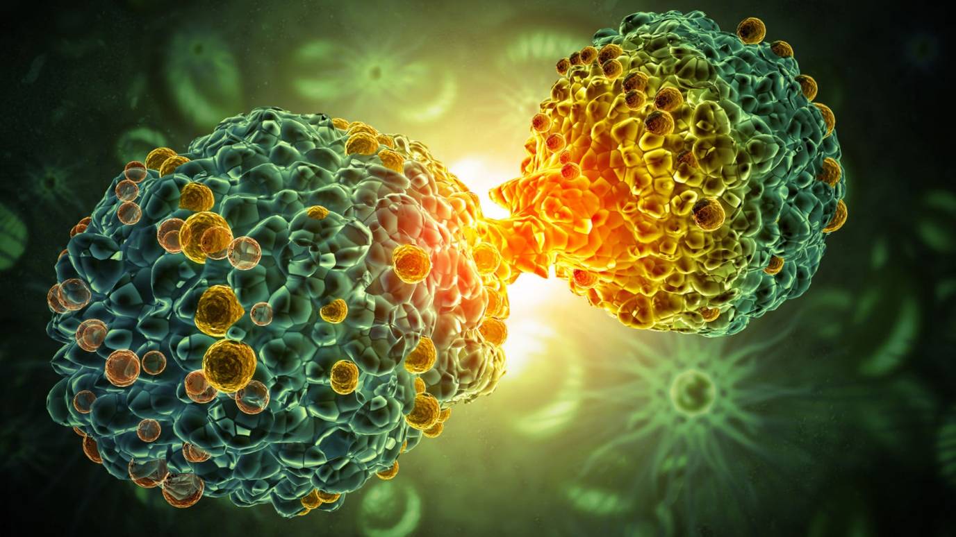Hydrogel Device Enables Painless Transdermal Delivery of Nucleic Acids ...