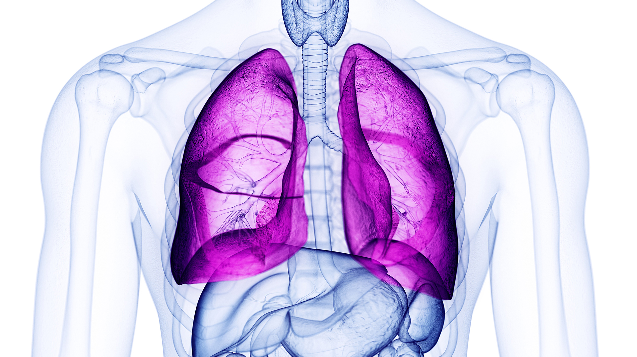 Pulmonary Medicine Axismeded